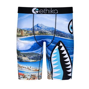 Ethika Boys Snow Force Staple Underwear | Underground Skate